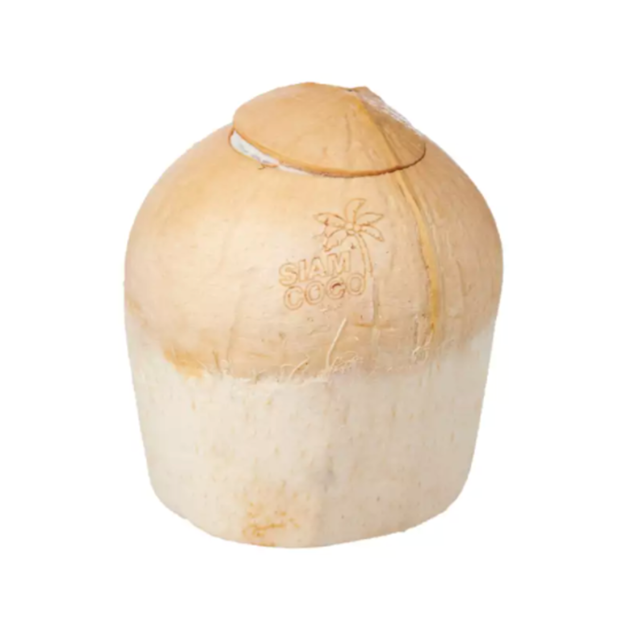 Thai Pre-cut Coconut (Thailand)(1pc ~350g) – UglyFood Co.