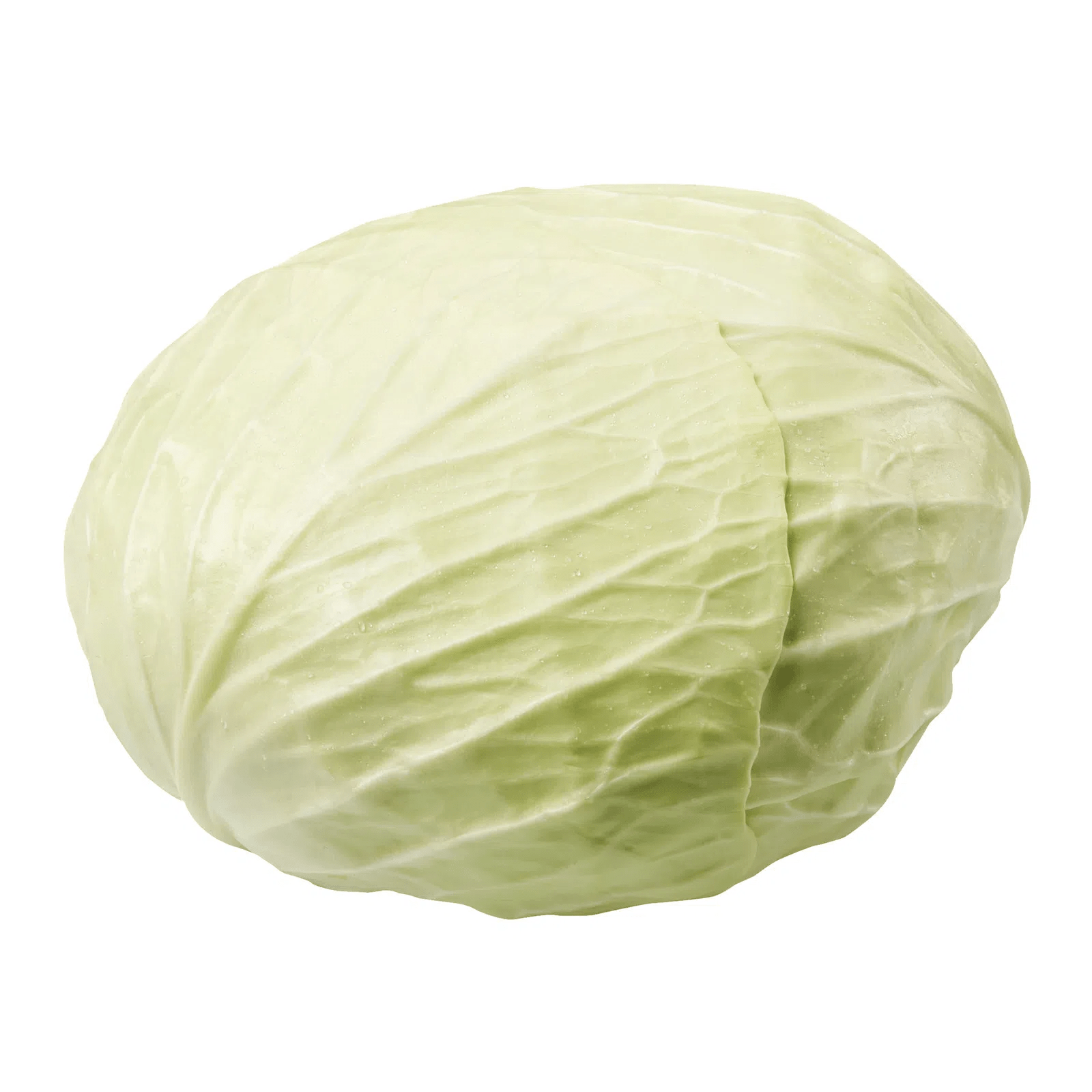Round Cabbage (Indonesia) (~1.5kg) – UglyFood Co.